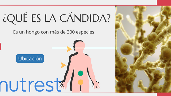 Eliminar hongo Candida y perder peso: métodos efectivos